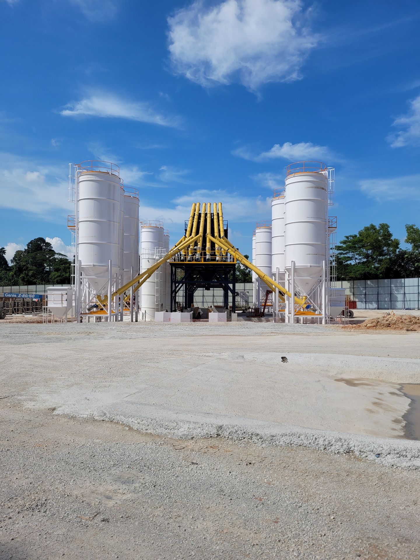 Low Profile Plants | Batchtec